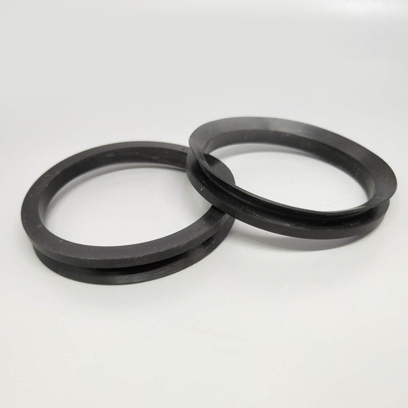 V-ring Axial Counterface Seals - Buy V-ring, Water Seal, VA VS Seal Product on Pinmo Sealing